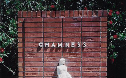 Chamness – Boehm Gallery