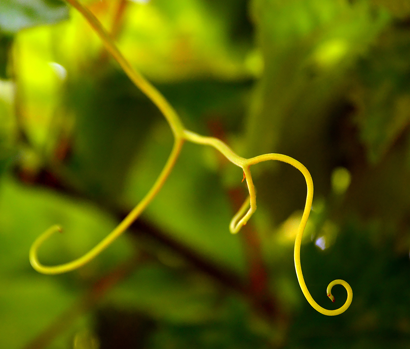 FACULTY EXHIBITION 2021 – Boehm Gallery