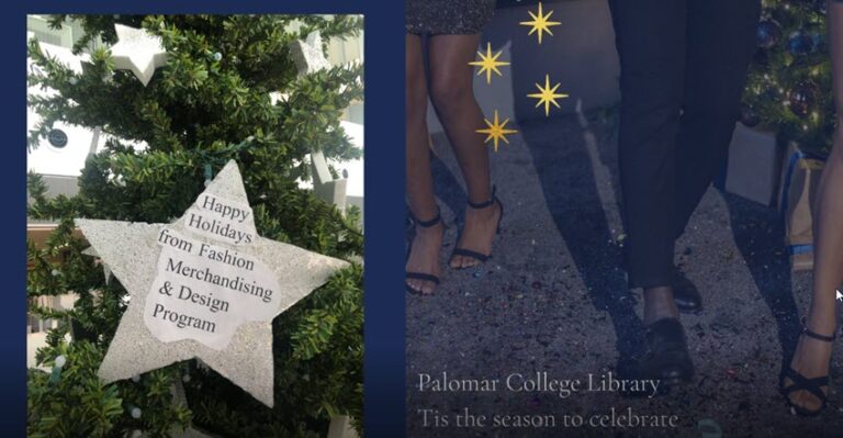 Palomar Library Homepage - Palomar College Library