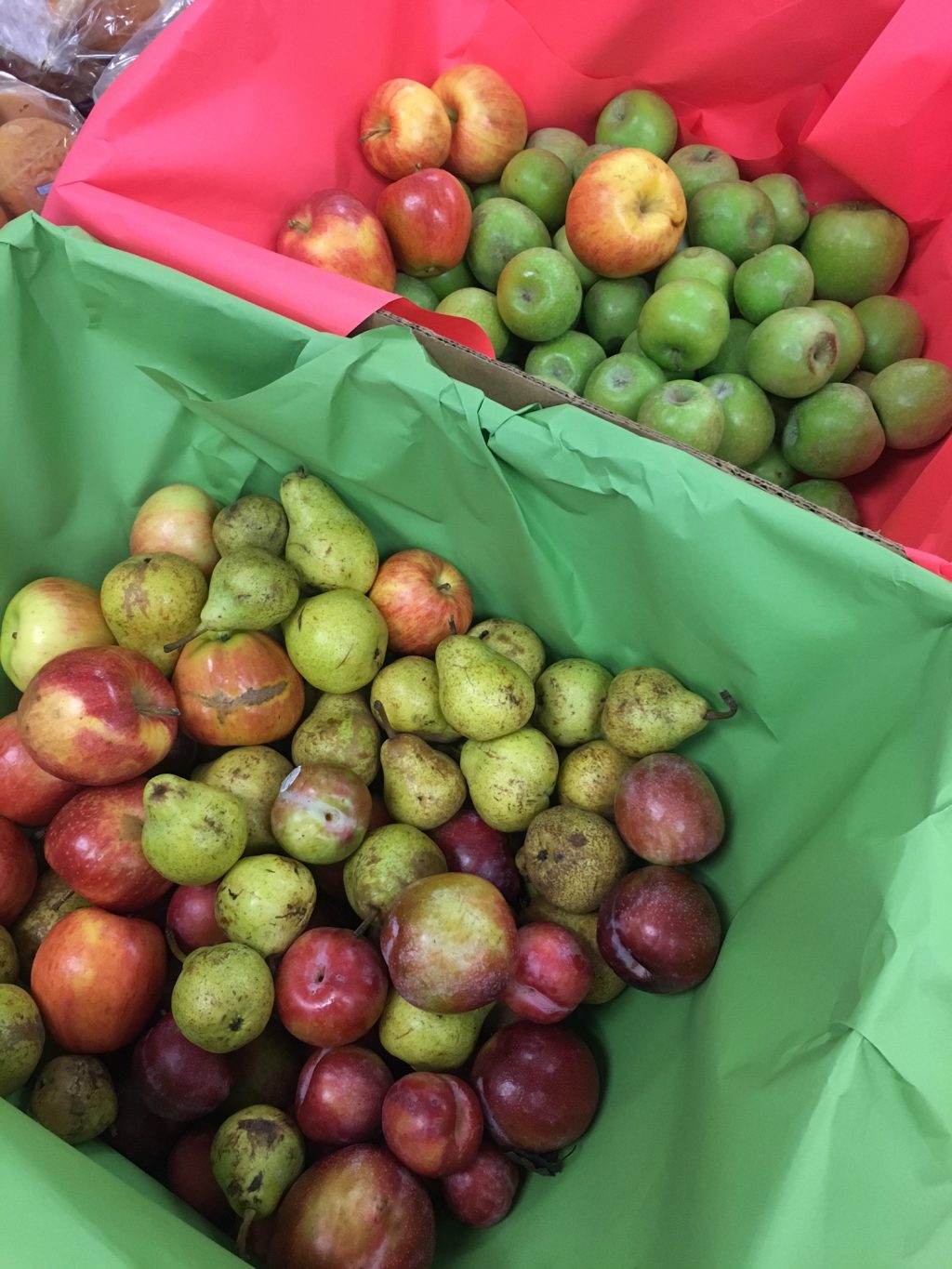 Inside the Palomar College food pantry - Palomar News