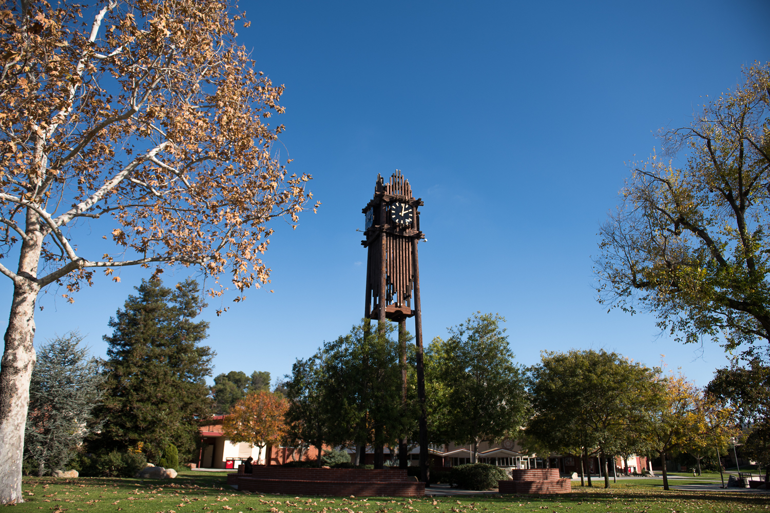 Palomar Community College District (PCCD)Governing Board Elects ...