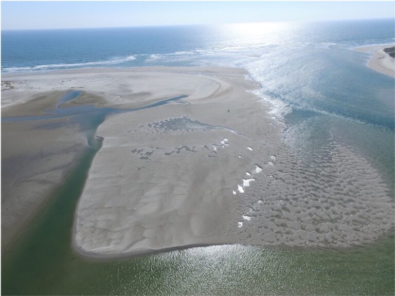 Oceanography Program